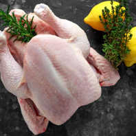 Chicken – Haji Baba Halal Meat